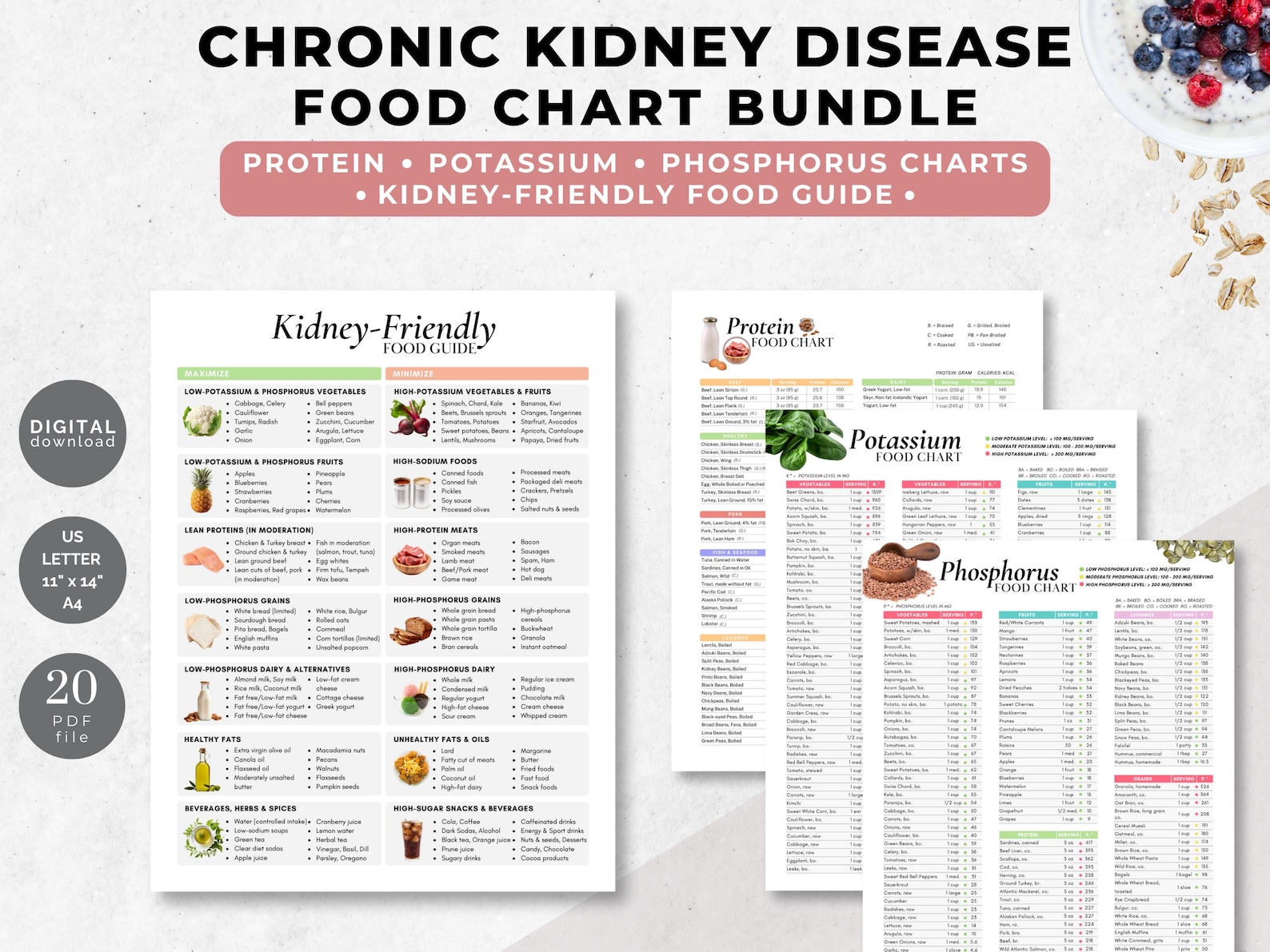 Kidney Friendly Food Charts Bundle, Protein Food Chart, Potassium Level ...