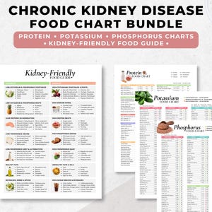 Kidney Friendly Food Charts Bundle, Protein Food Chart, Potassium Level ...