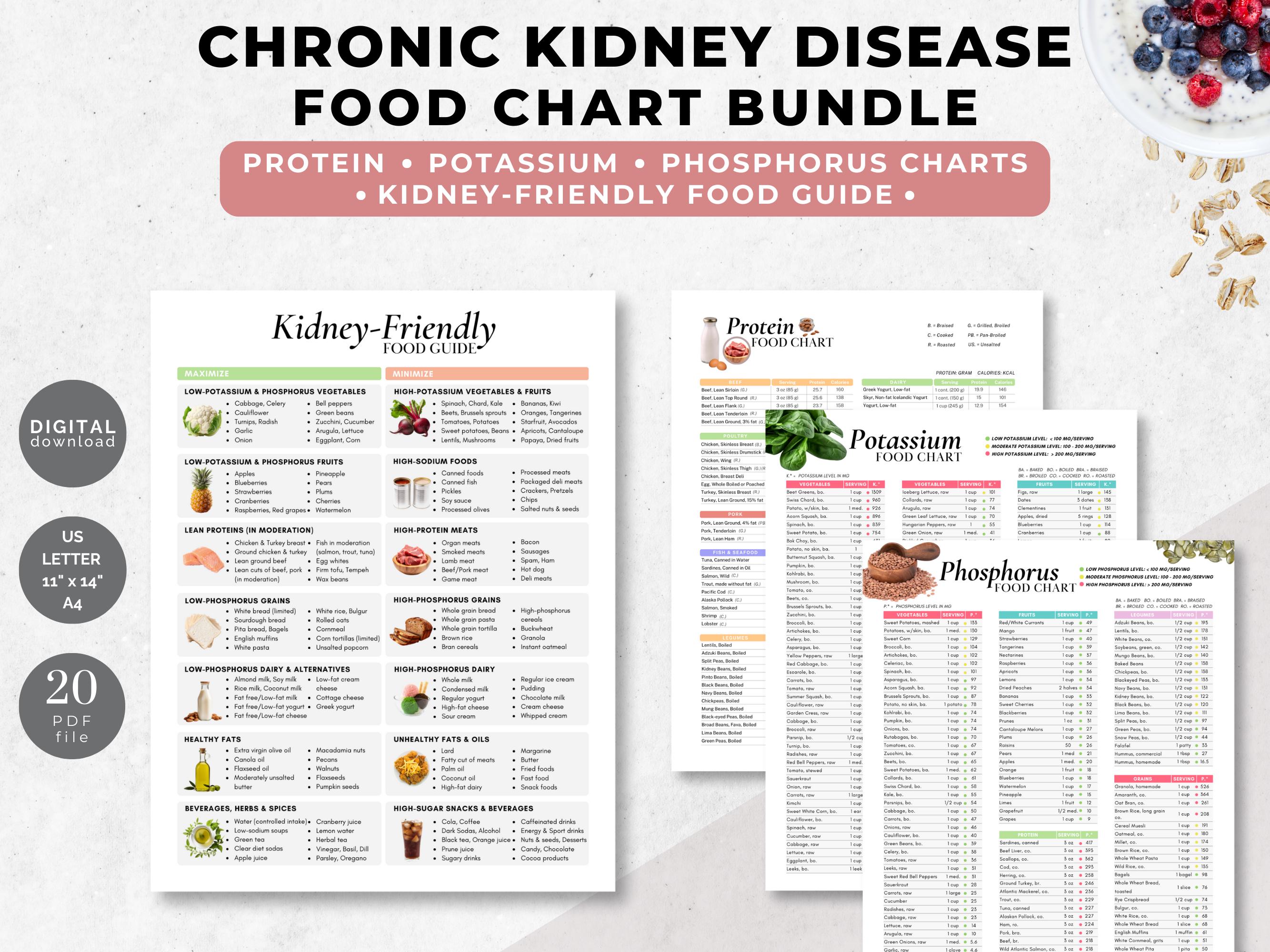 Kidney Friendly Food Charts Bundle, Protein Food Chart, Potassium Level ...