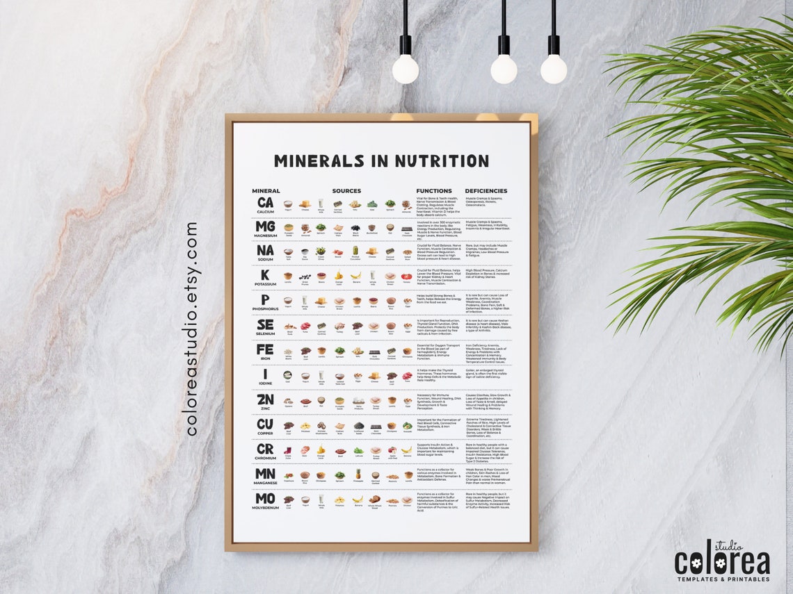 Vitamins and Minerals Chart Bundle | Nutrition Poster | Essential ...