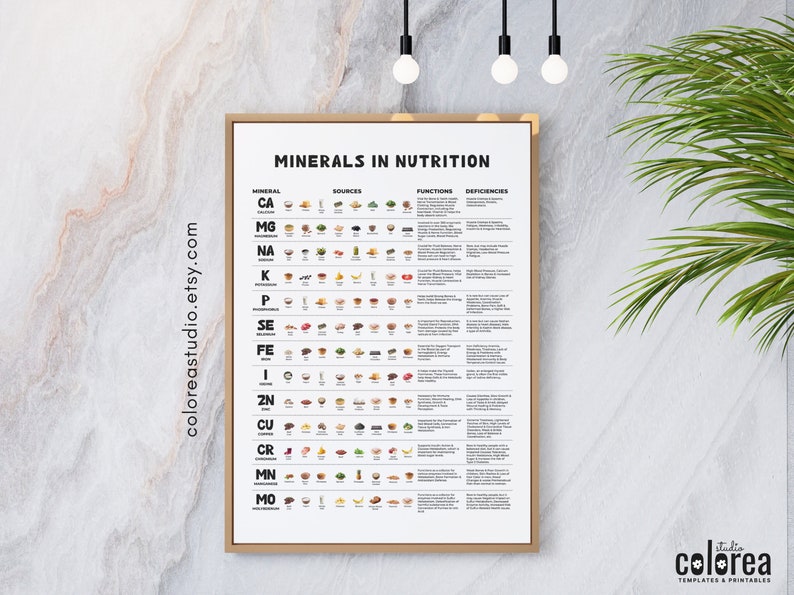 Vitamins and Minerals Chart Bundle | Nutrition Poster | Essential ...
