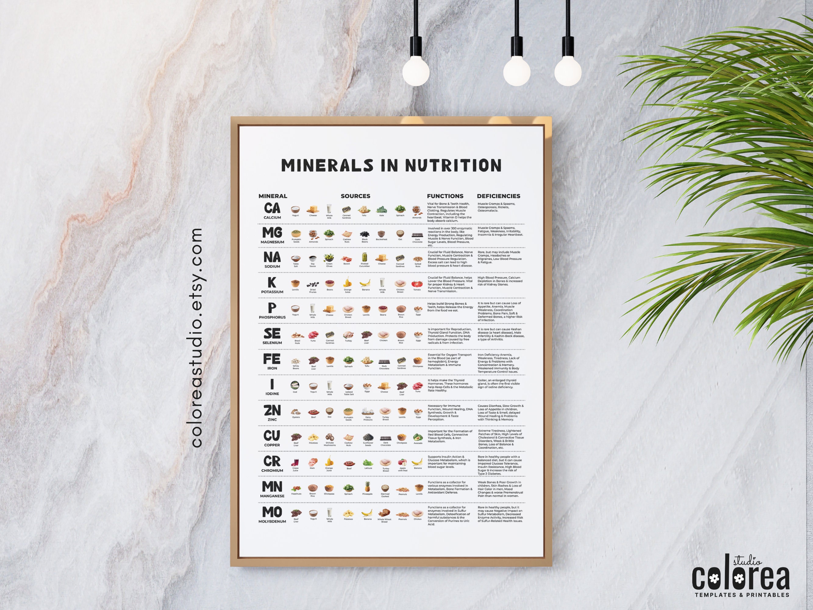Vitamins and Minerals Chart Bundle | Nutrition Poster | Essential ...