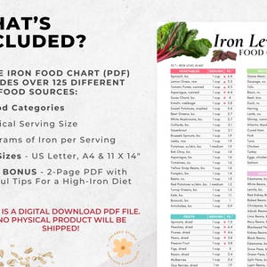 High Iron Food Chart: Anemia Diet Guide (PDF) - Etsy