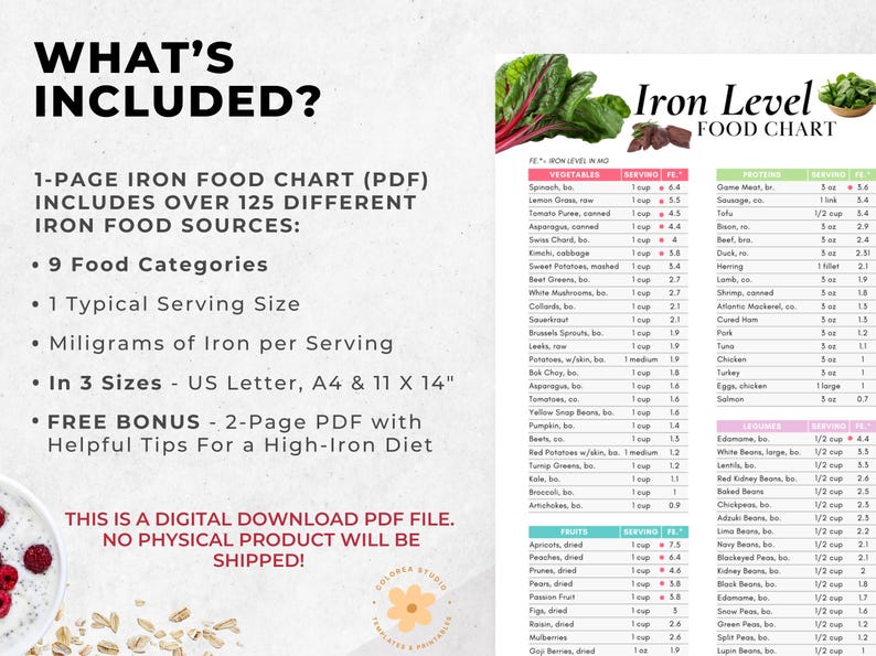 High Iron Food Chart: Anemia Diet Guide (PDF) - Etsy