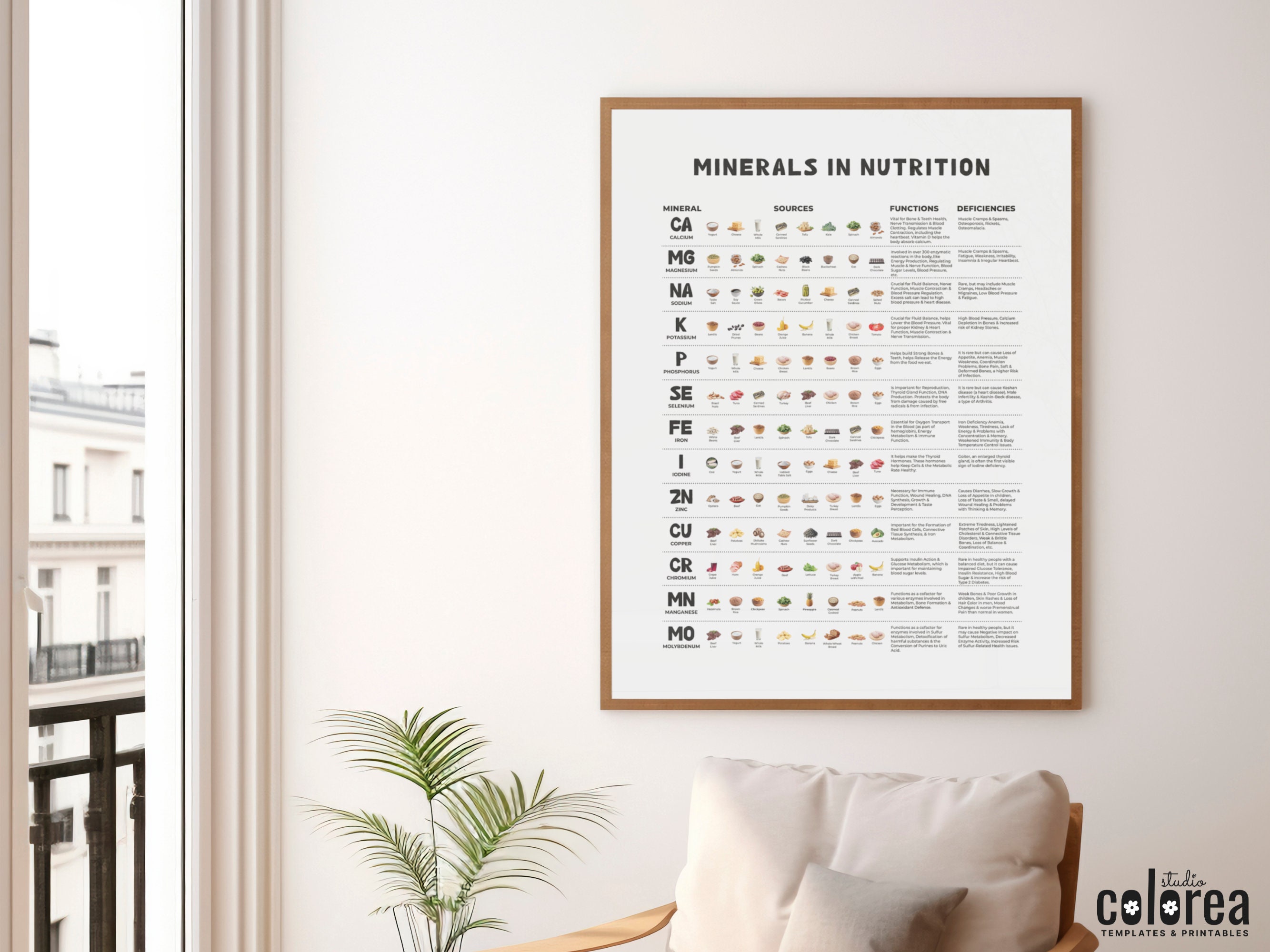 Minerals Nutrition Guide Poster | Health Education (digital Download ...