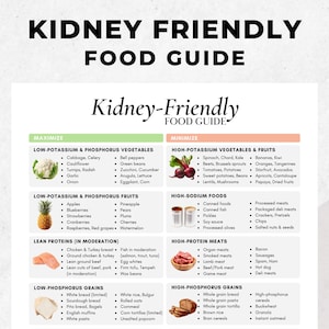 Kidney Friendly Food Guide, Renal Diet List (digital Download) - Etsy