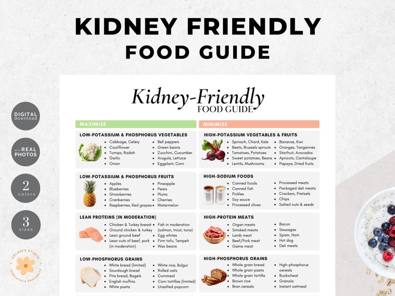 Kidney Friendly Food Guide, Renal Diet List (digital Download) - Etsy