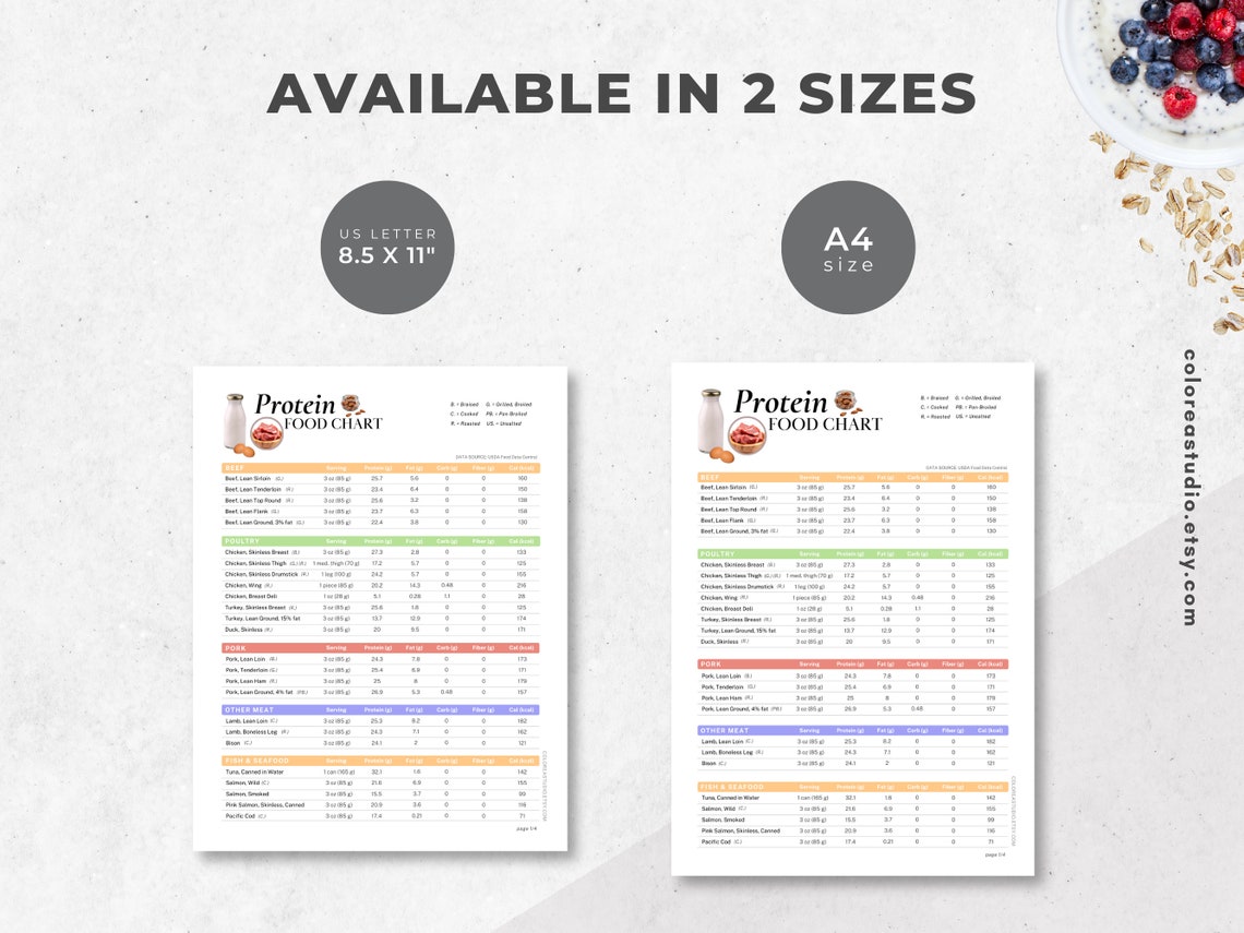 High Protein Food Chart | Nutrition Guide, Dietitian Handout (PDF) - Etsy