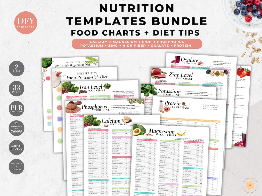 Editable Nutrition Food Charts Bundle, PLR Canva Templates for ...