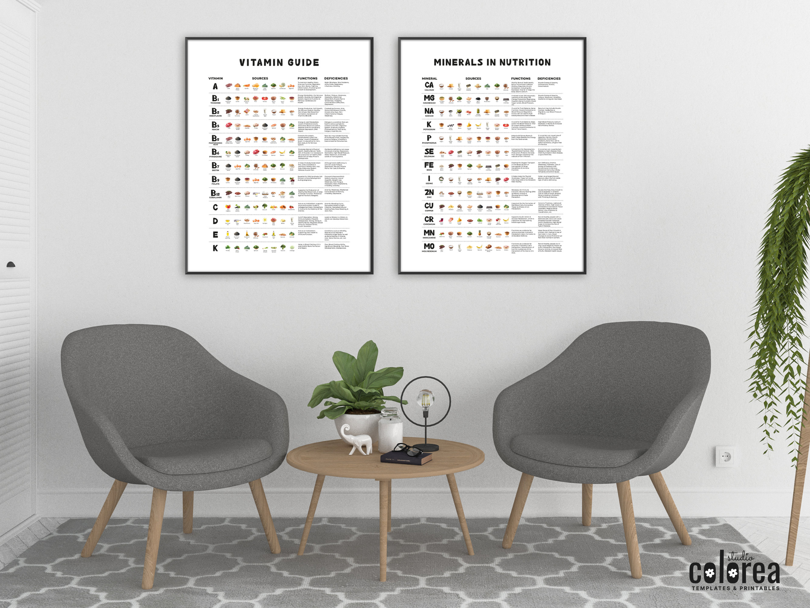 Vitamins and Minerals Chart Bundle | Nutrition Poster | Essential ...
