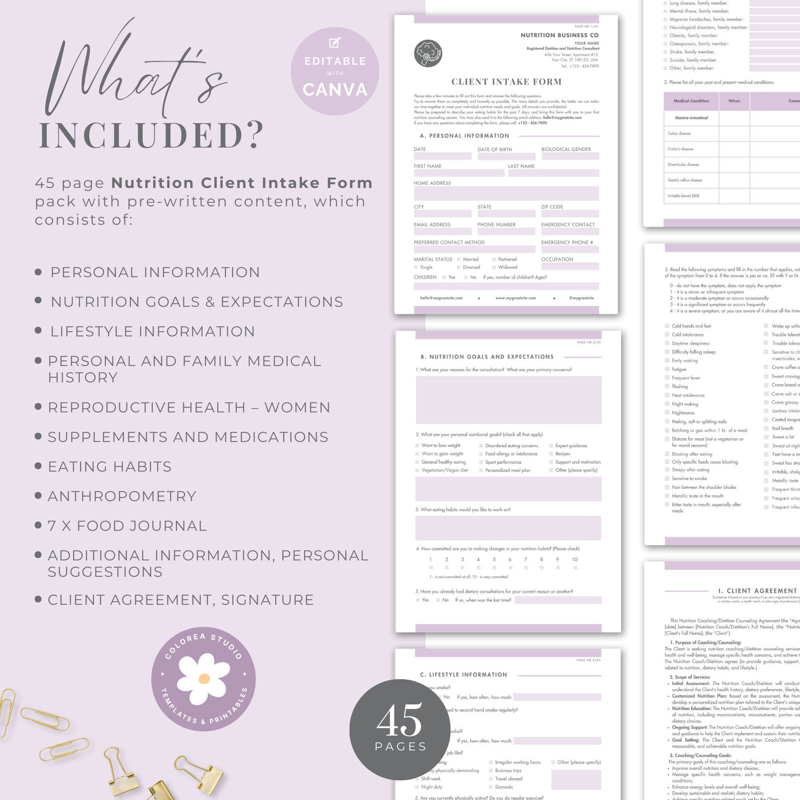 Nutrition Client Intake Form Bundle | Nutrition Coaching Template ...