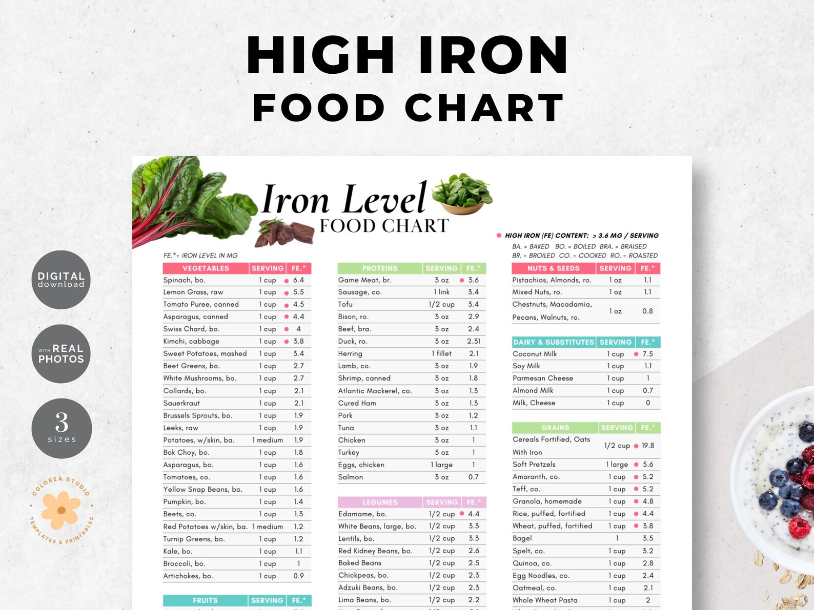 High Iron Food Chart: Anemia Diet Guide (PDF) - Etsy