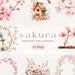 Watercolor Cherry Blossoms Clipart Sakura Floral PNG Spring Clipart ...