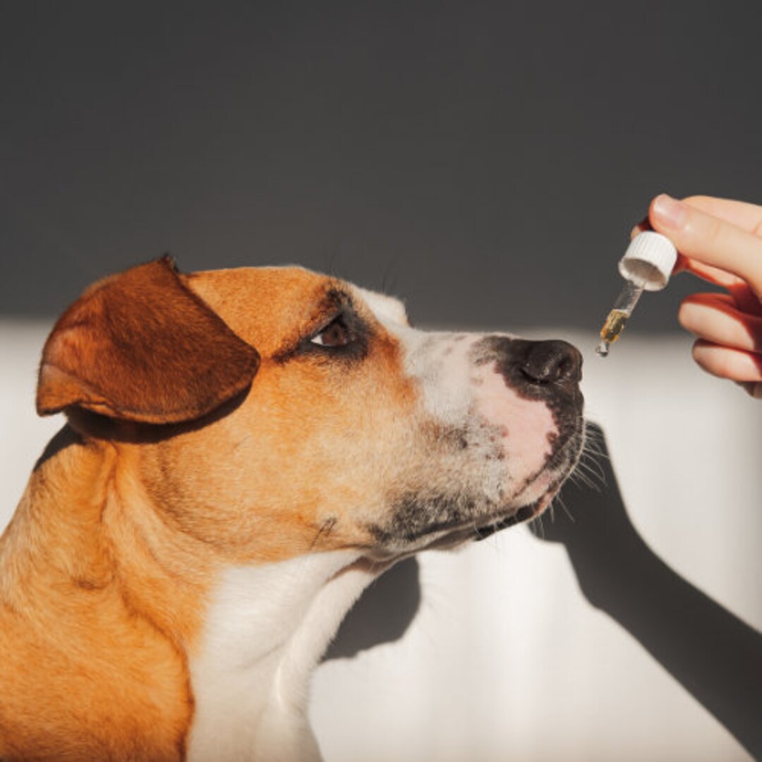 Personalized Bach and Deva Flower Elixir for Dogs - Etsy