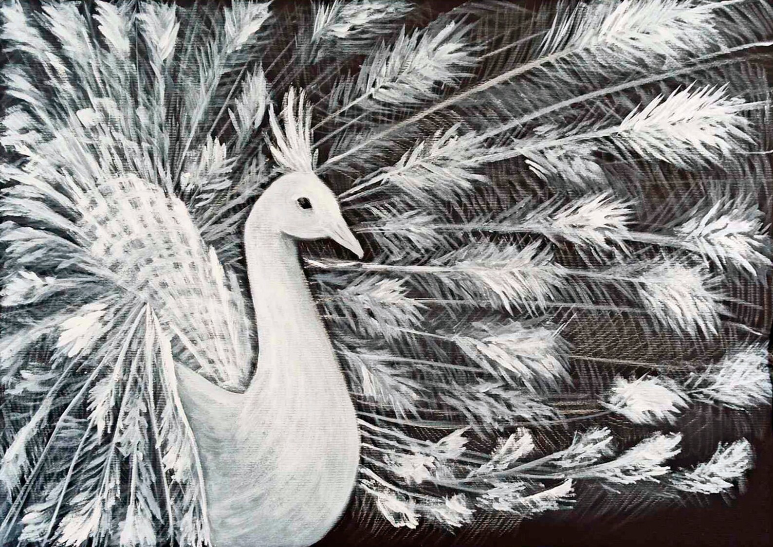 Portrait of Peacock, Custom Bird Portrait From Photo, Realistic Hand ...