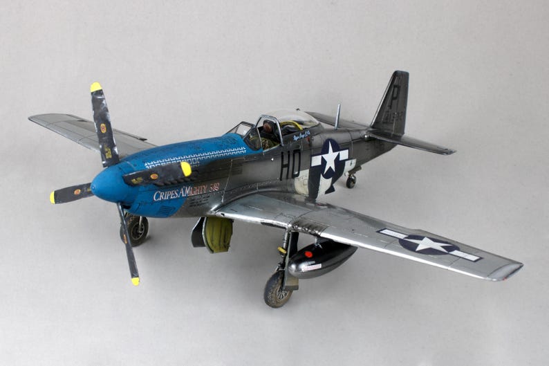 Mustang P-51D 1/48 Scale – Built and Pro Painted Aircraft Scale Model ...