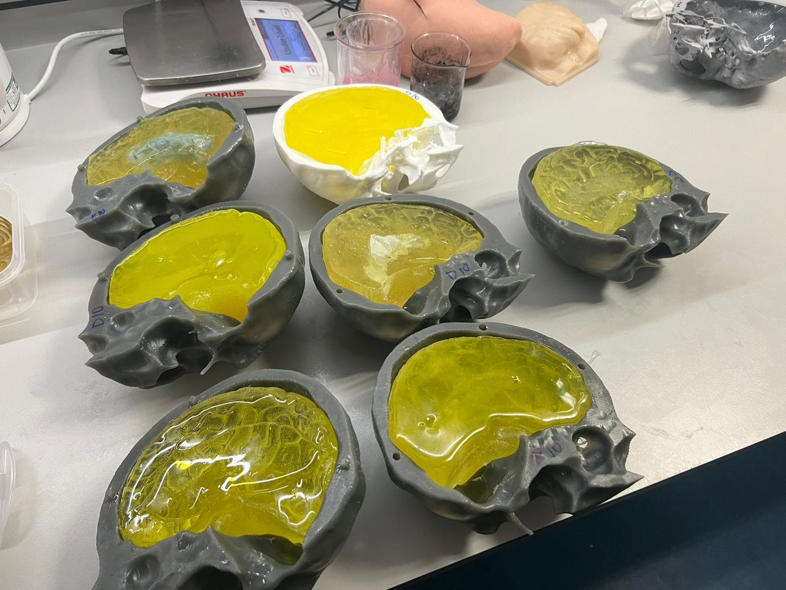 EVD Shunt Surgical Training Model for Neurosurgeons. - Etsy