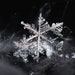 Snowflake Print a Unique Snowflake Photograph Printed on Canvas - Etsy
