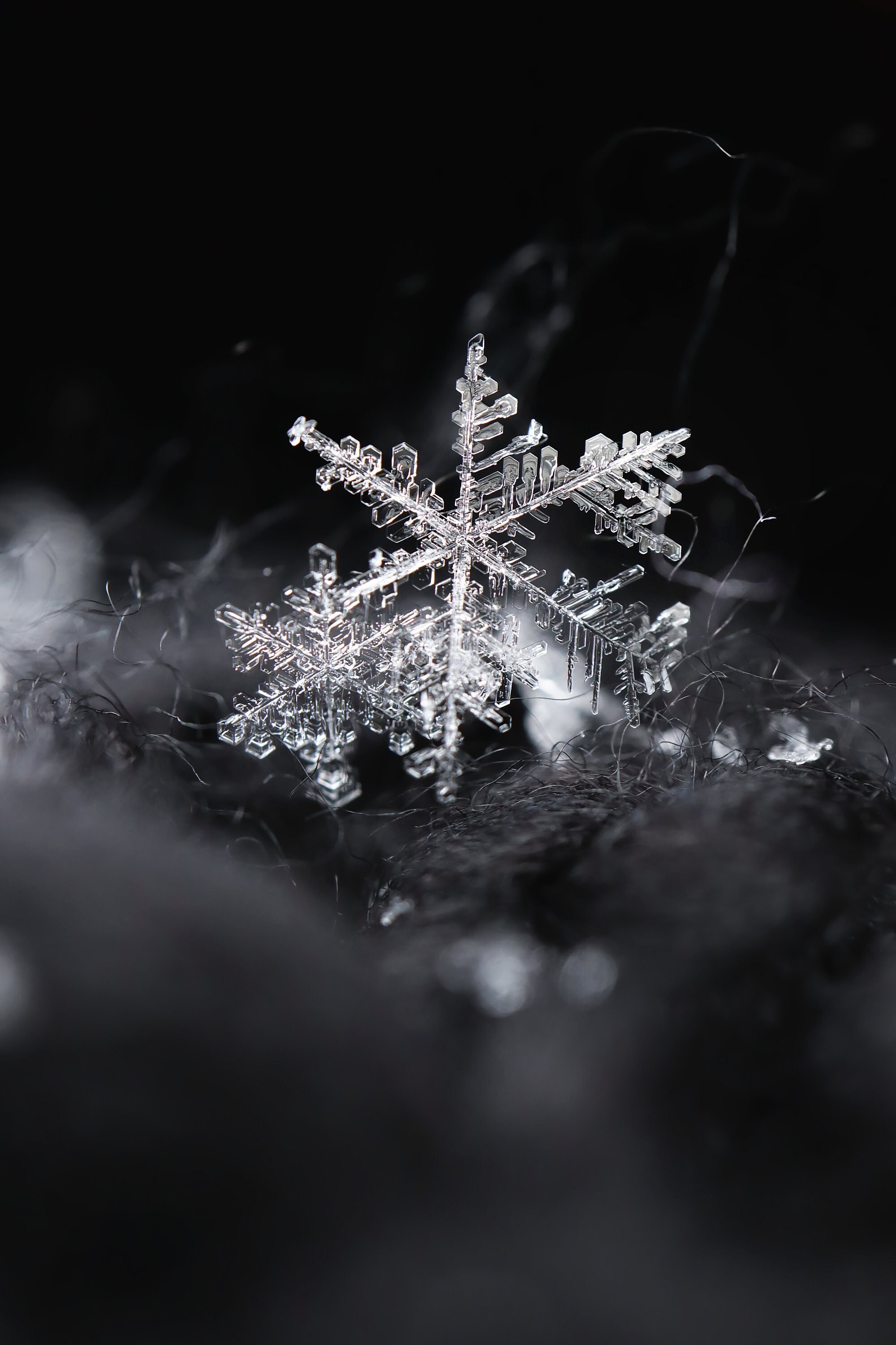 Snowflake Print a Unique Snowflake Photograph Printed on Canvas - Etsy