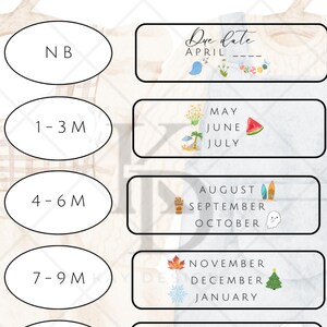 Baby Clothes Guide (invitation Insert) Month by Month - Etsy