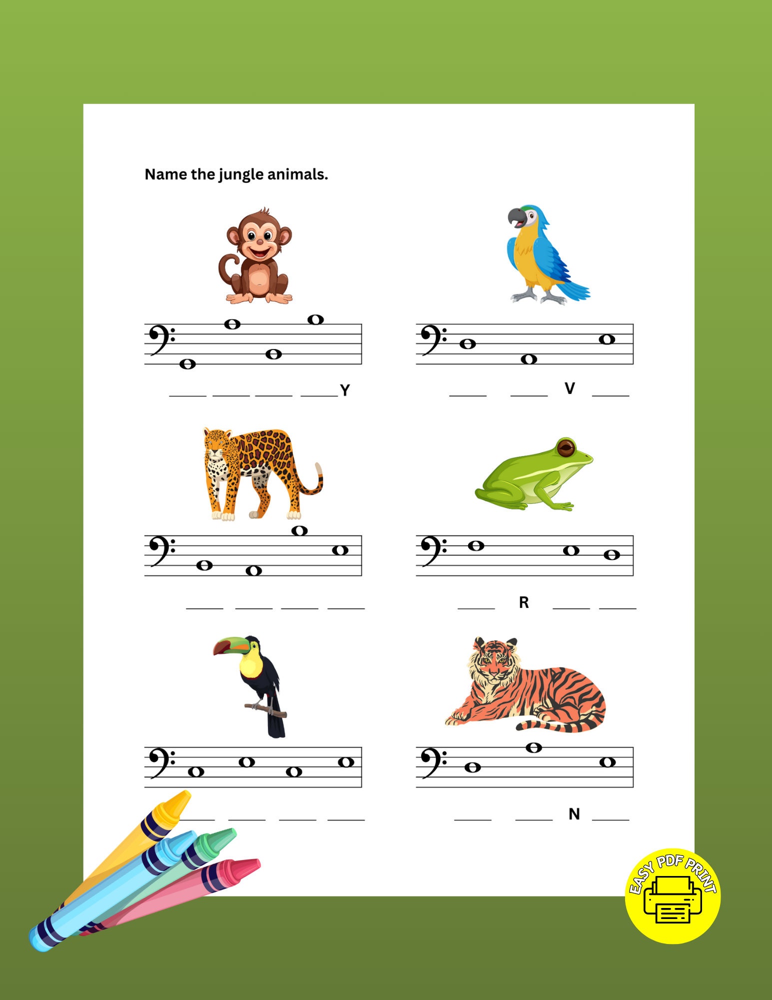 Bass Clef & Grand Staff - PDF Printable - Music Theory Sheet - Music ...