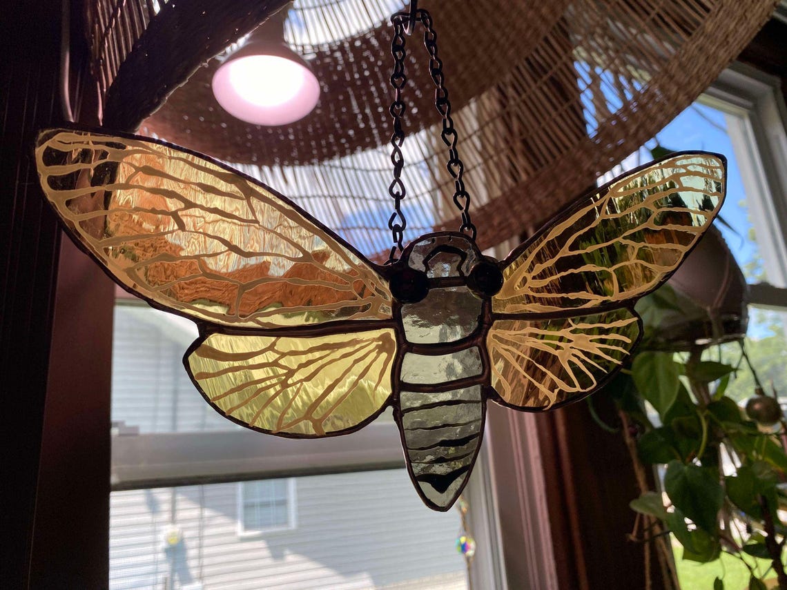 Made to Order Handcrafted Stained Glass 17 Year Cicada - Unique Insect ...