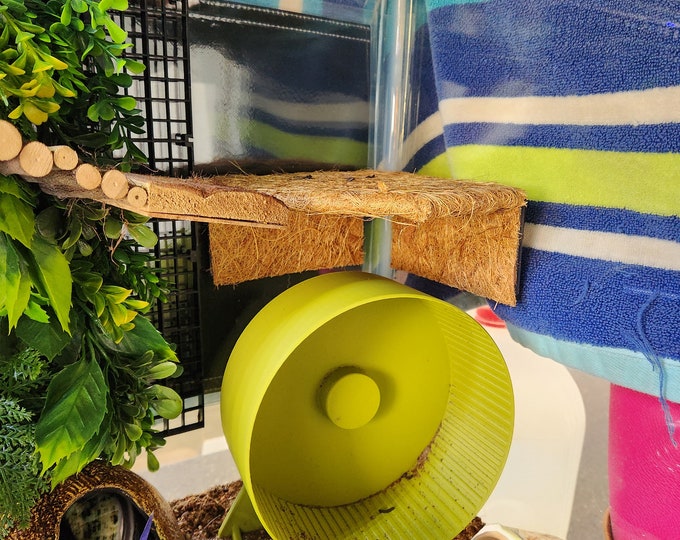 Hermit Crab Corner Shelf - Etsy