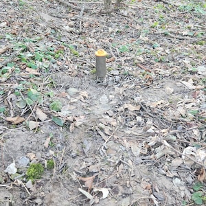 Racoon Trap Topper Bait Saver for Dog Proof Traps - Etsy