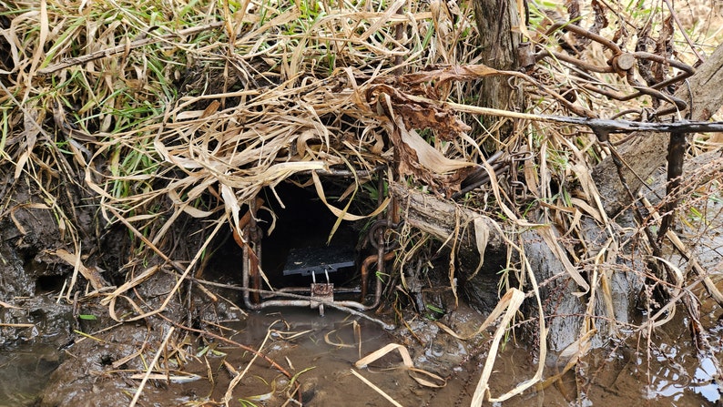 Conibear Trap Pan Trigger Extension - 12 Pack - Etsy