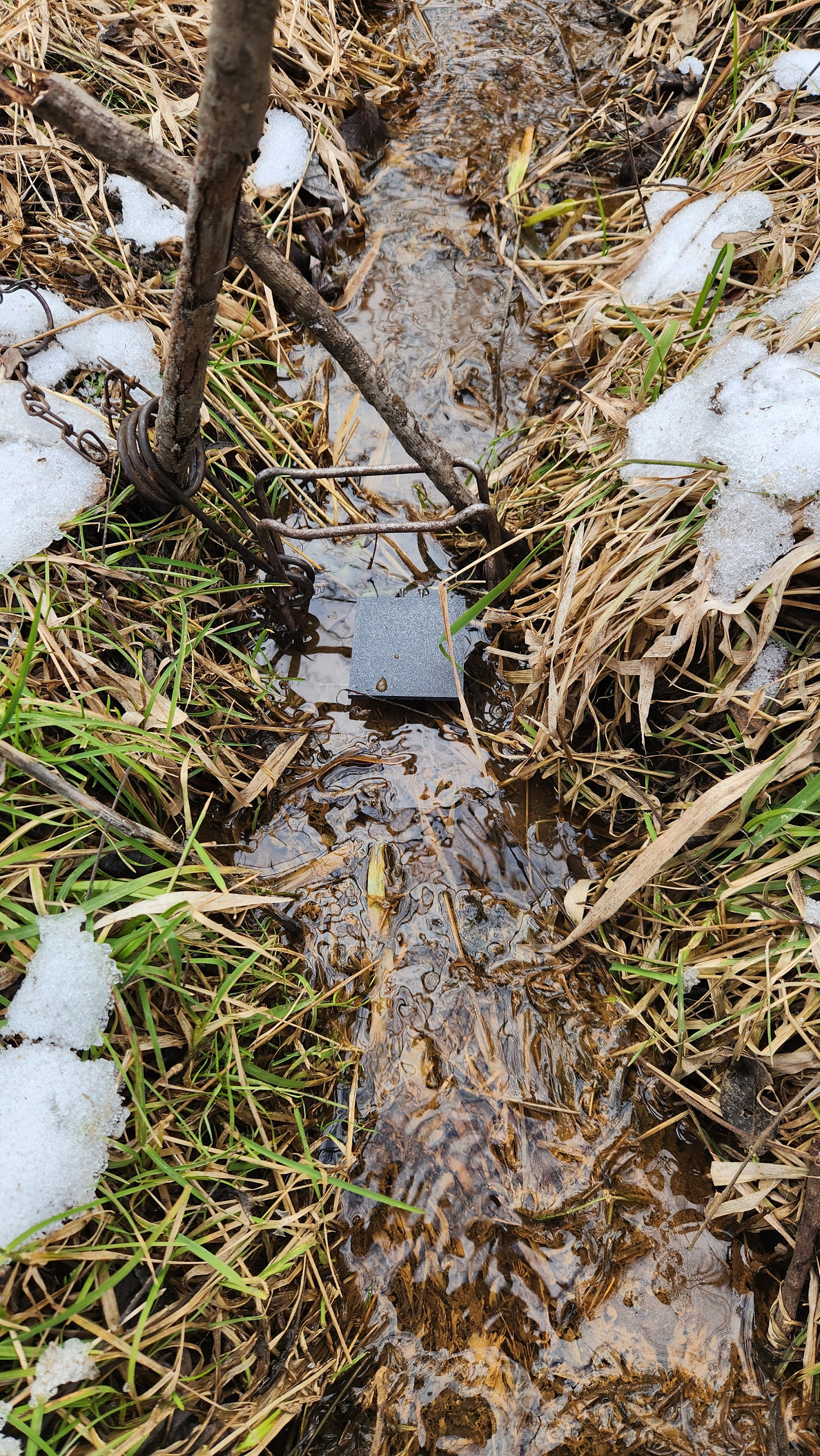 Conibear Trap Pan Trigger Extension - 12 Pack - Etsy