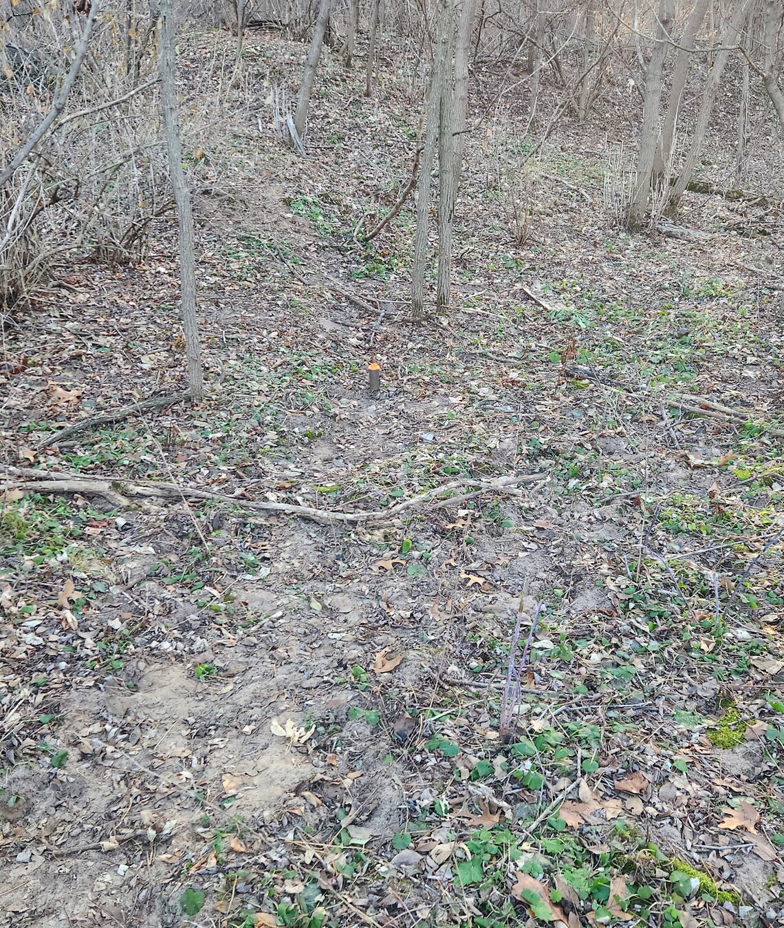 Racoon Trap Topper Bait Saver for Dog Proof Traps - Etsy