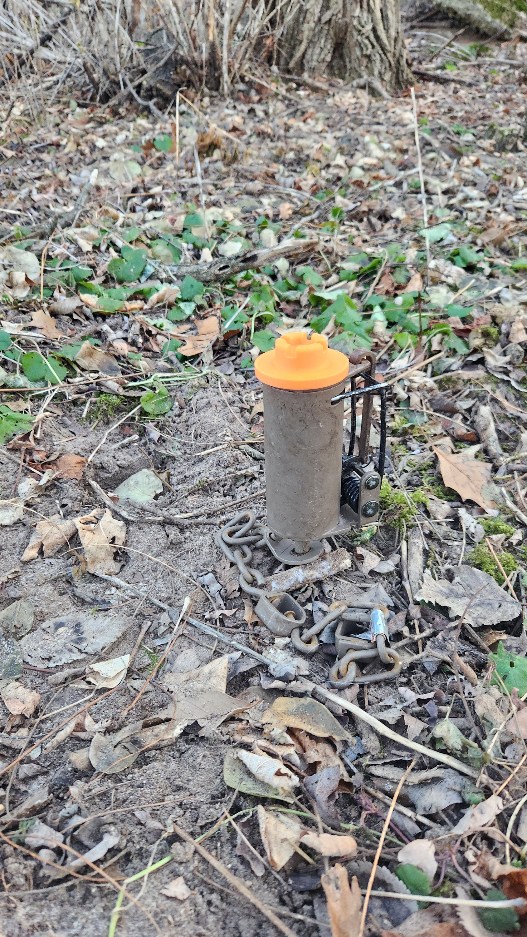 Racoon Trap Topper Bait Saver for Dog Proof Traps - Etsy