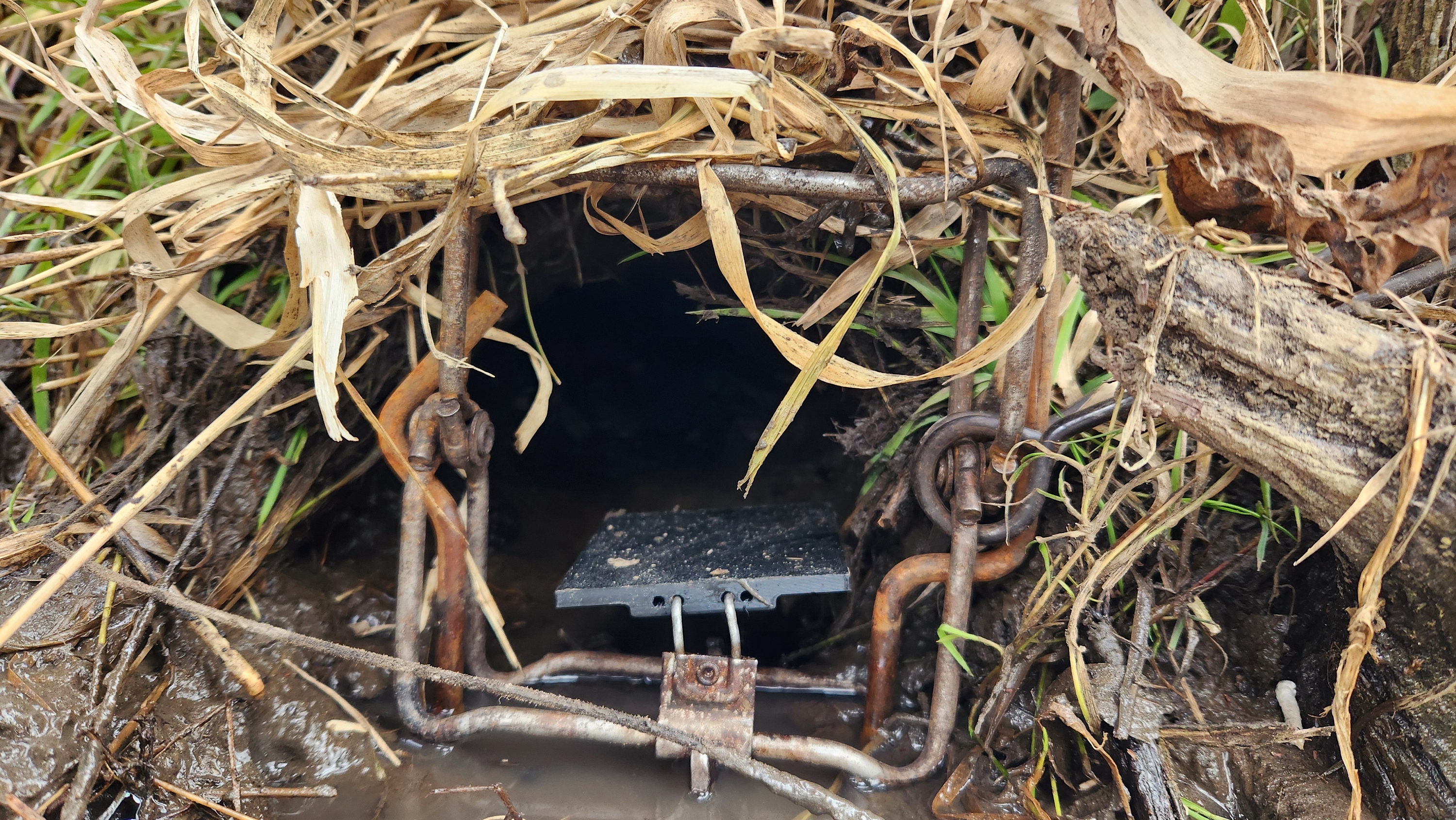 Trapping Conibear Pan, Conibear Trigger Extension, Trigger Pan, Trap ...