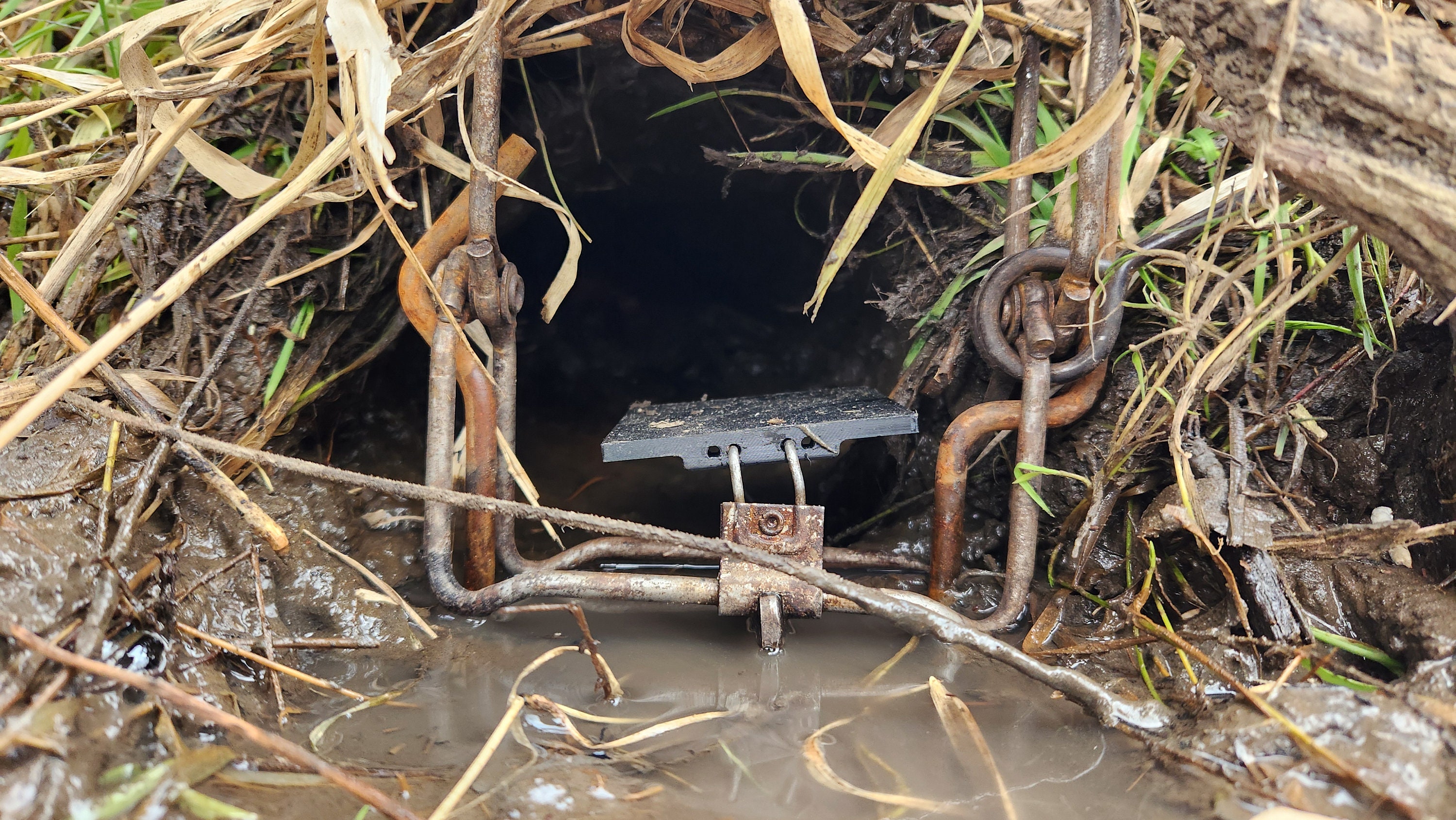 Conibear Trap Pan Trigger Extension - 12 Pack - Etsy