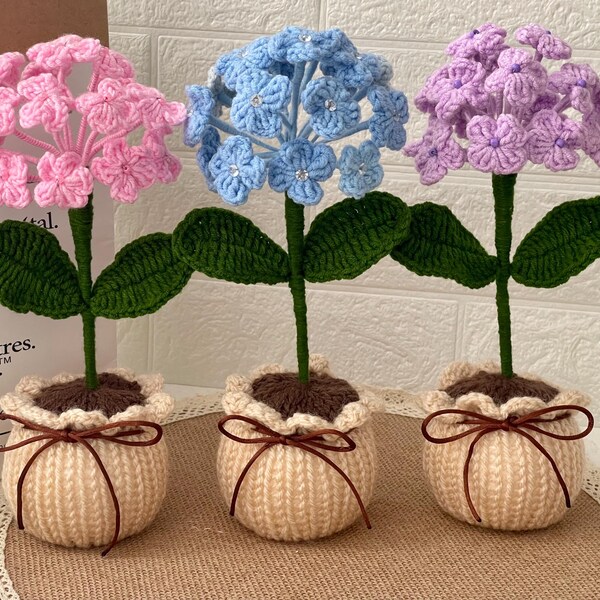 Hydrangea Plant - Etsy