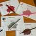 Colours Play Dough Mats Printable, Colours Learning Resource, Color ...