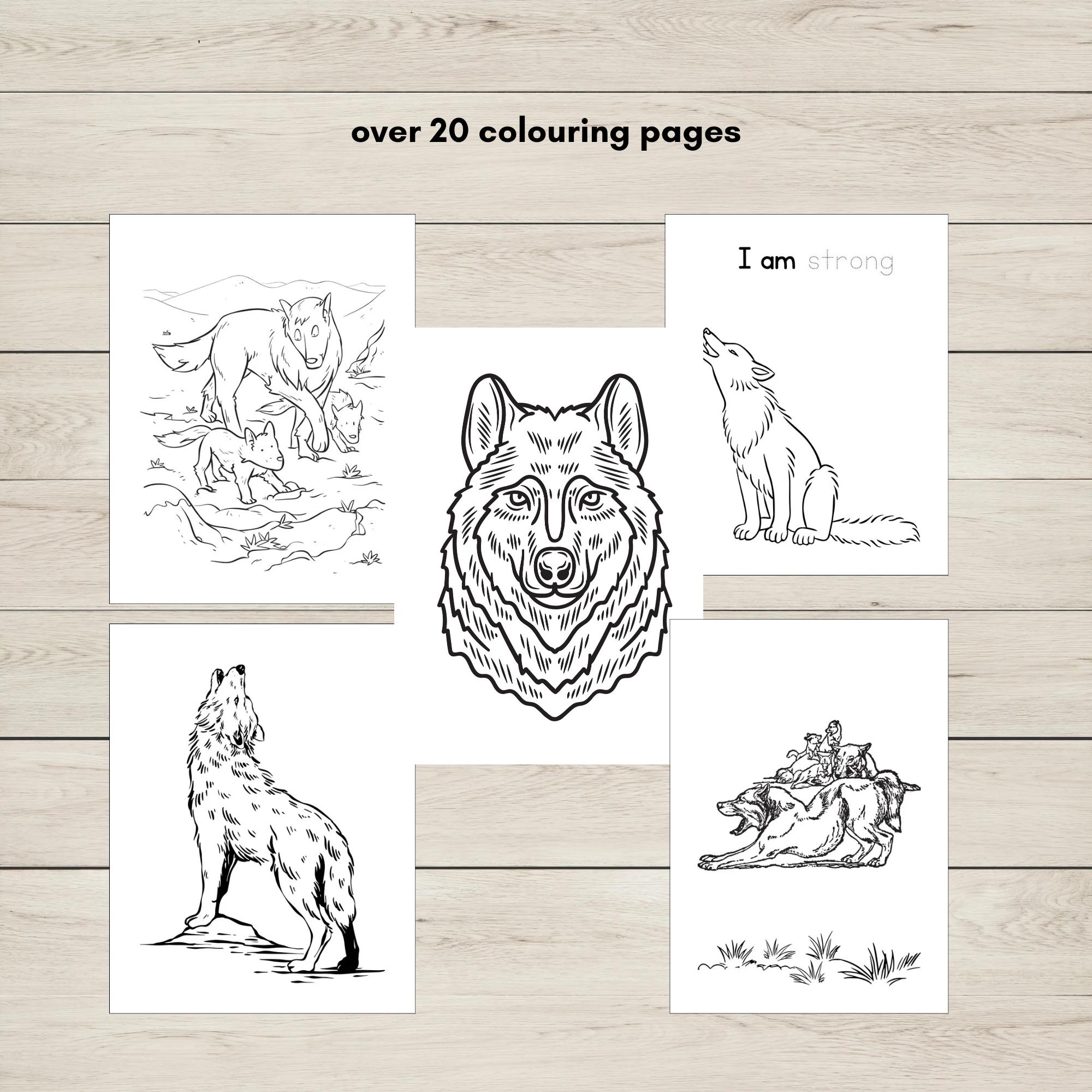 Wolf Activity Book for Kids, Printable Wolves Activities, Wolf Coloring ...
