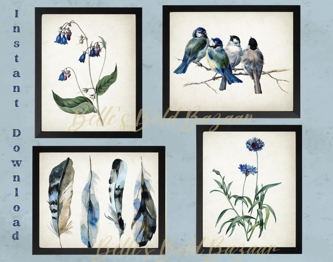 Vintage Blue Nature Art Set Collection,botanical Wildflower,feather ...