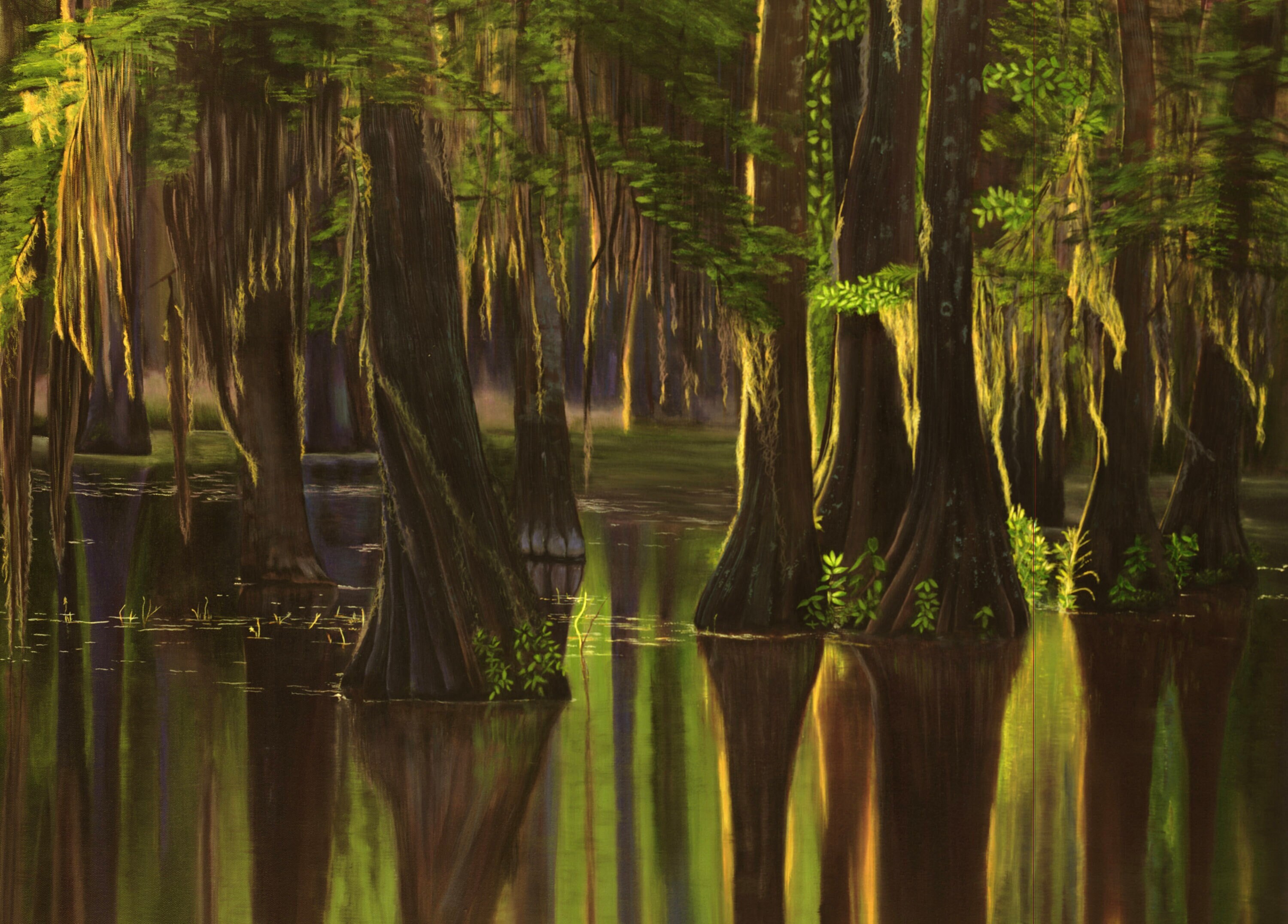 Cypress Trees Art Print, Giclee, Hand Painted, Lake, Water, Spanish ...