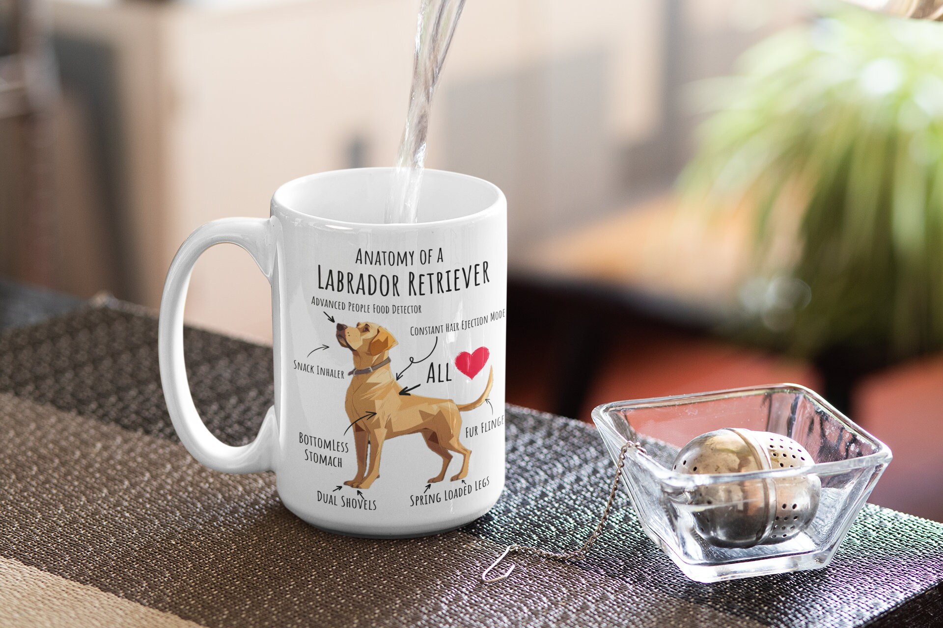 Labrador Retriever Coffee Mug: Anatomy of a Lab - Etsy