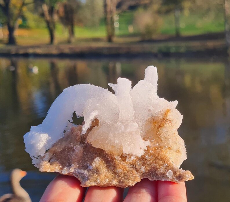 Fibrous Gypsum Var. Selenite From Guangdong, China. Beautifull Rams ...