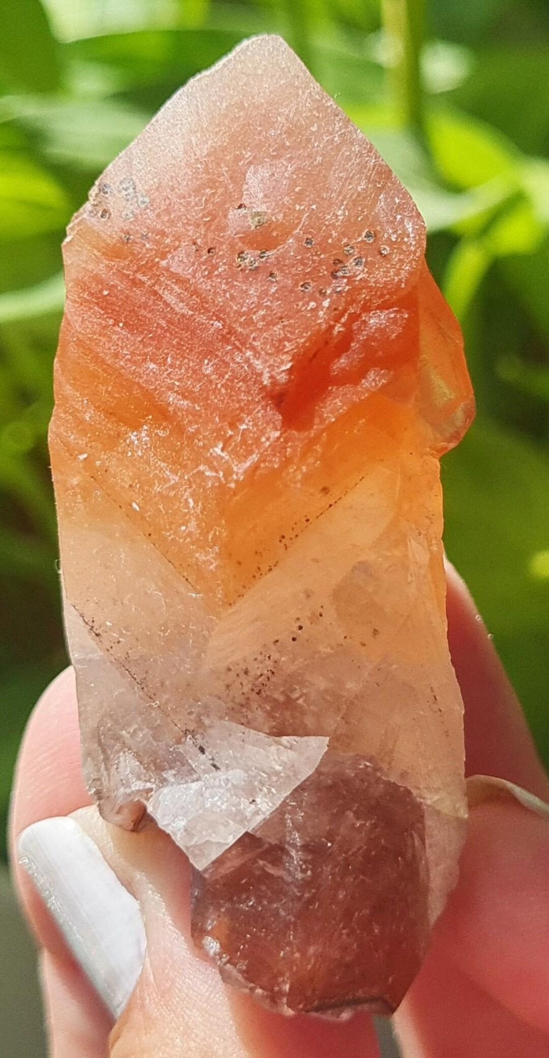 Amazing Single Crystal of Butterfly Calcite From Chihuahua, Mexico - Etsy