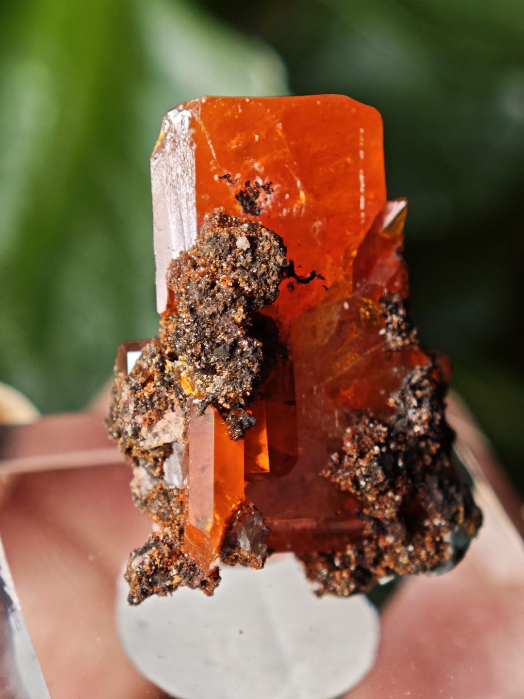 Wulfenite From Red Cloud Mine, USA. Aesthetic Crystals, Glassy Luster ...