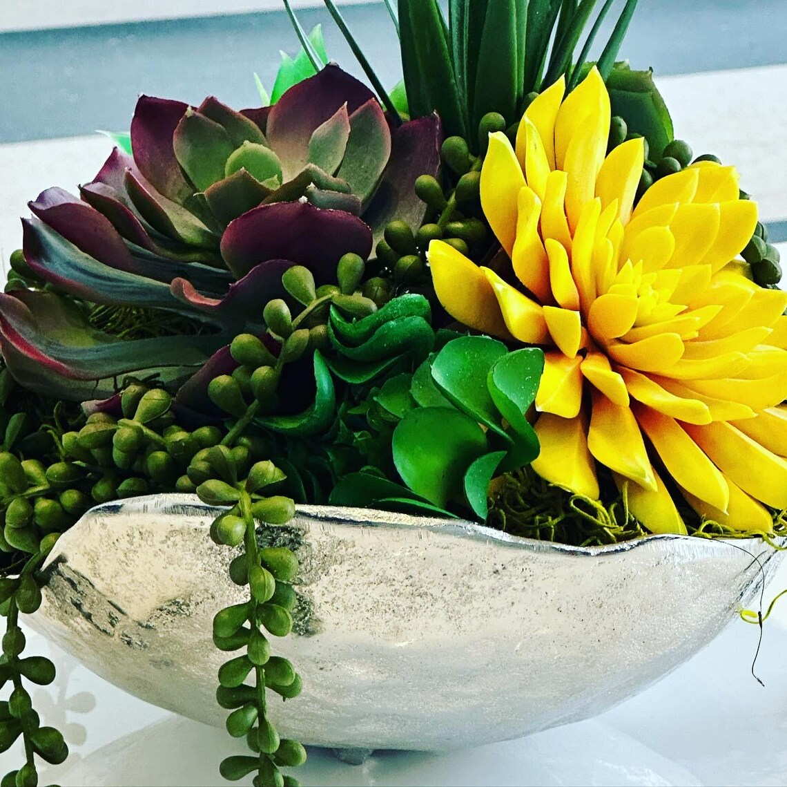 Arrangements of Various Cactus Plants & Silver Metal Base. - Etsy