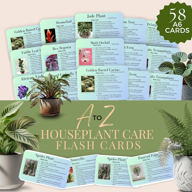 Houseplant Care Flash Card Set, Easy-to-follow Indoor Plant Care Quick ...