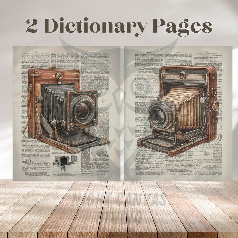 2 Printable Dictionary Art Pages, Vintage Cameras, Vintage Dictionary ...
