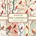 Red Cardinal Digital Paper, 12 High Quality Seamless Images, Printable ...