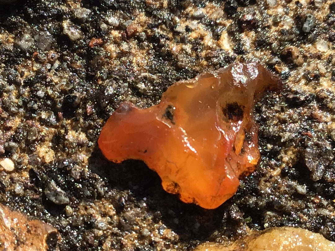 Seahorse Framed Photograph of a Sidewalk Rock agate in Astoria, Oregon ...