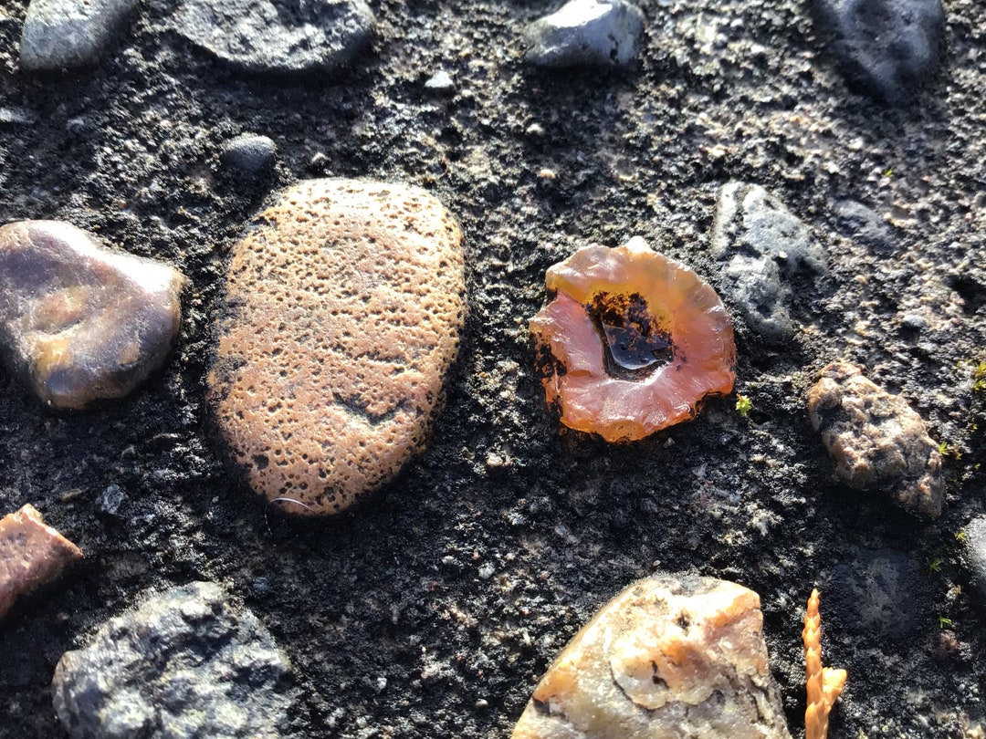 Doughnut Framed Photograph of a Sidewalk Rock agate in Astoria, Oregon ...