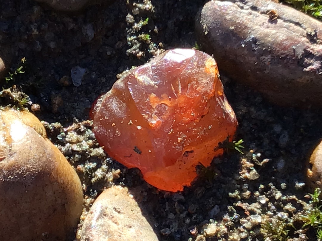 Red Dot Framed Photograph of a Sidewalk Rock agate in Astoria, Oregon ...